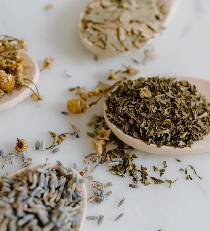 Home - Biofern Life Sciences Pvt. Ltd.