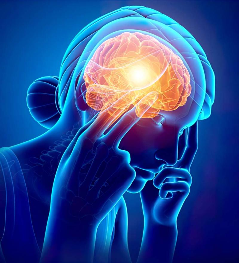 Home - Biofern Life Sciences Pvt. Ltd.